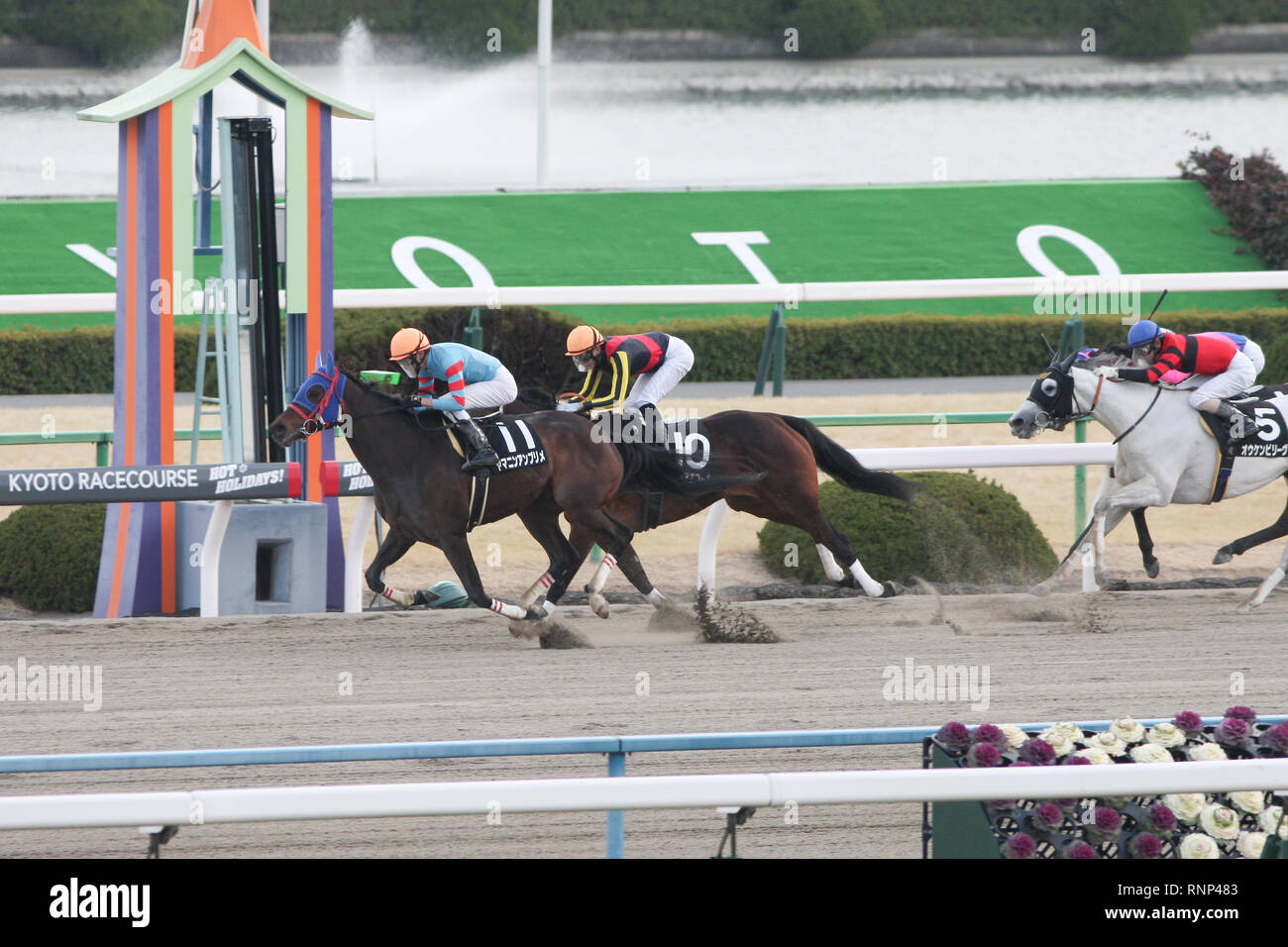 Kyoto, Japan. 17th Feb, 2019. (L-R) Yamanin Imprime (Ryota Sameshima ...