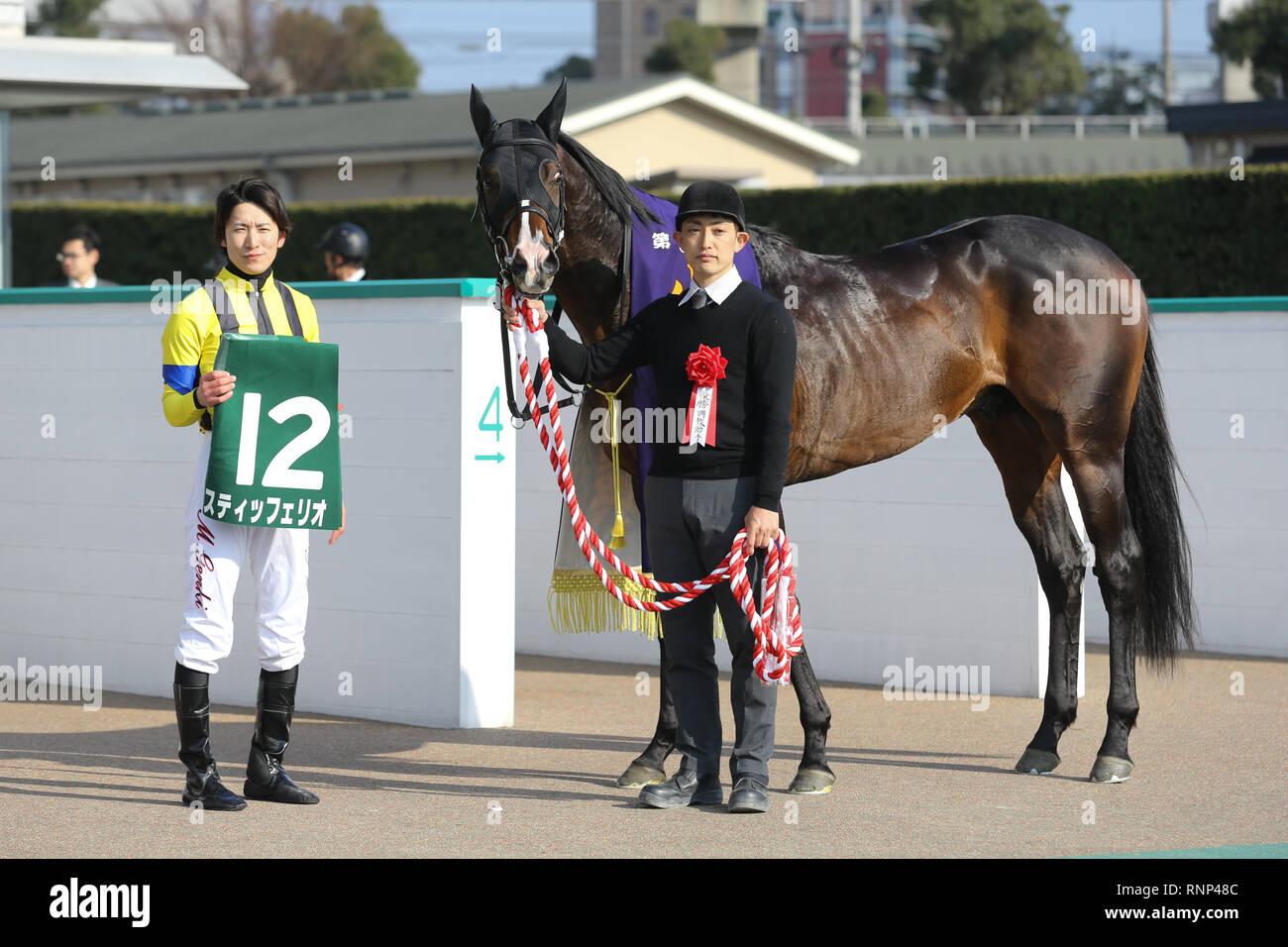 Fukuoka, Japan. 17th Feb, 2019. Stiffelio (Genki Maruyama) Horse Racing ...