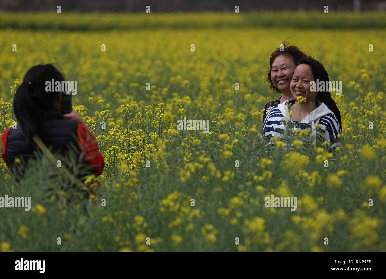 Puwei hi-res stock photography and images - Alamy