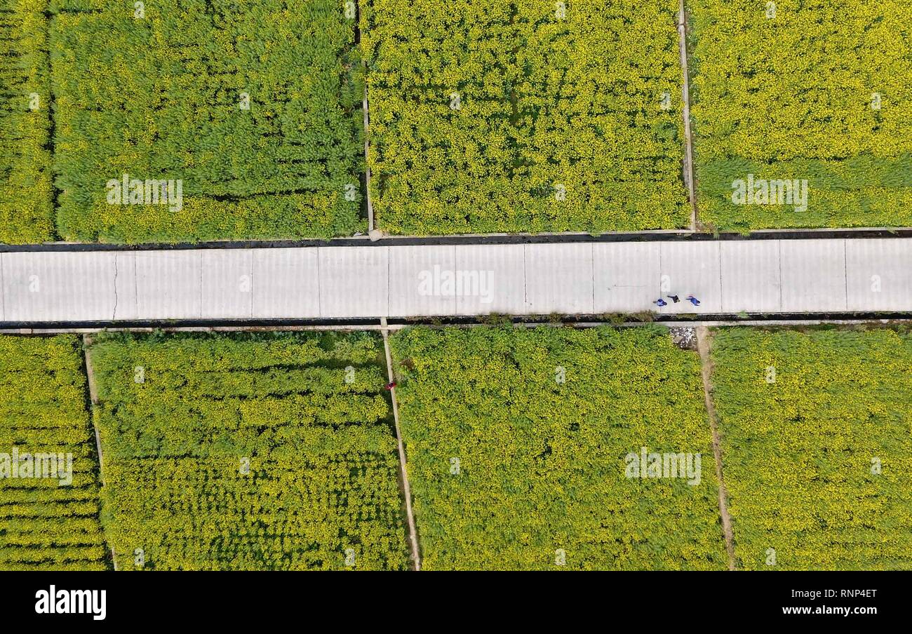 Miyi. 19th Feb, 2019. Aerial photo taken on Feb. 19, 2019 shows ...