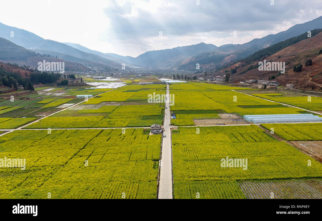 Puwei hi-res stock photography and images - Alamy