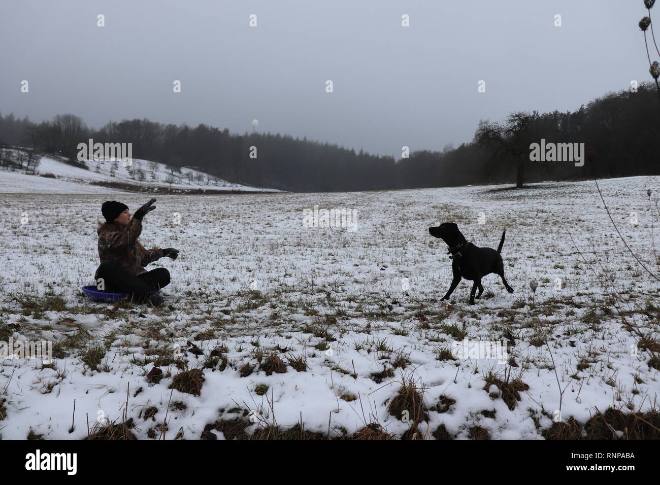 Teenage girl throwing a snowball to a dog Stock Photo - Alamy