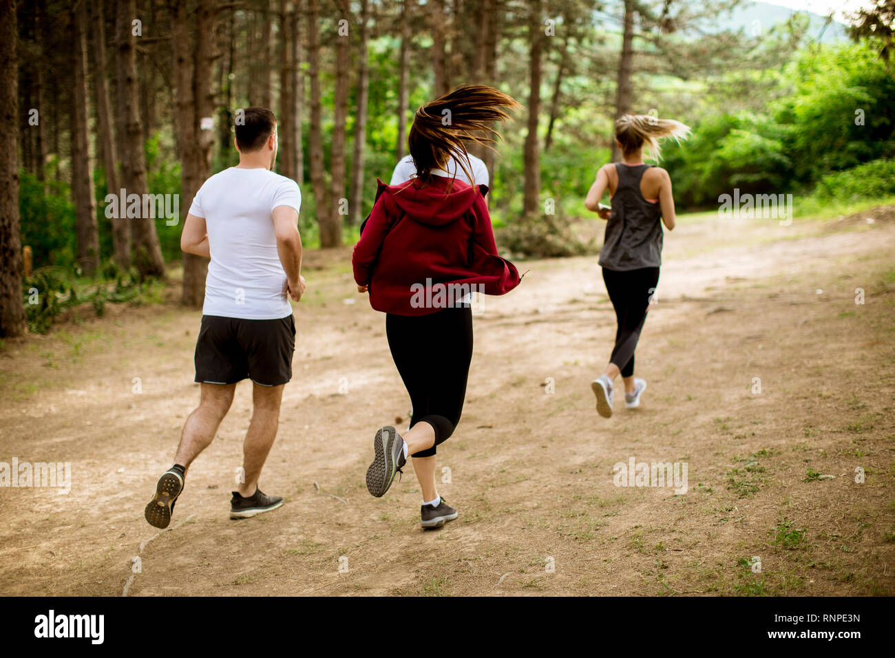 Young people run a marathon through the forest Stock Photo - Alamy