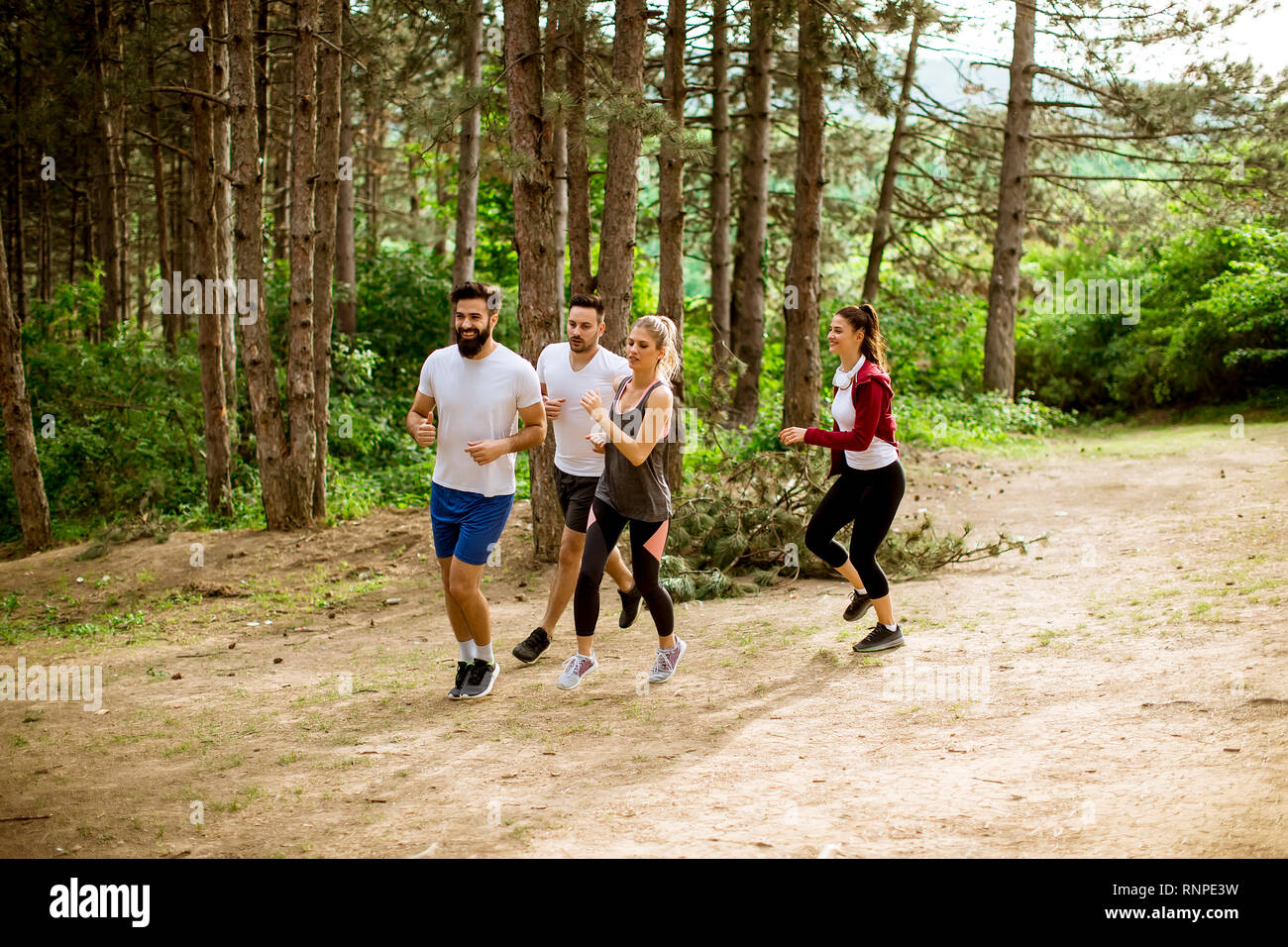 Young people run a marathon through the forest Stock Photo - Alamy