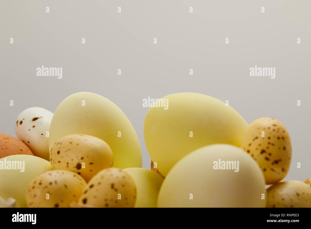Easter chicken quail eggs hi-res stock photography and images - Alamy