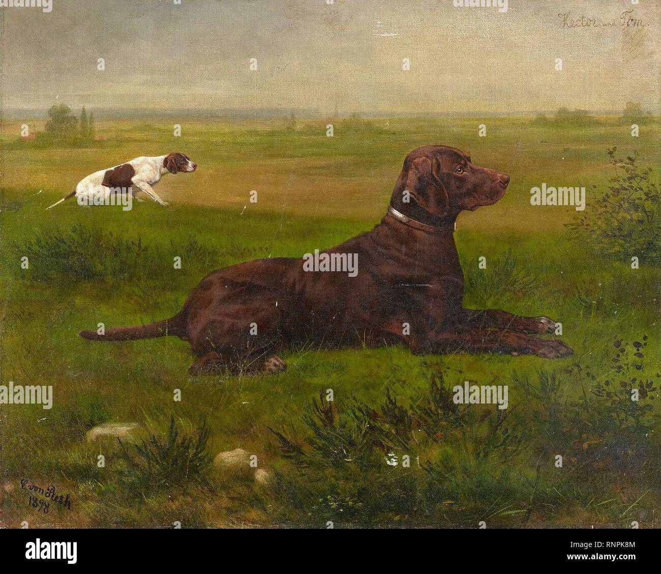 Caspar von Reth Hector und Tom 1898 Stock Photo - Alamy