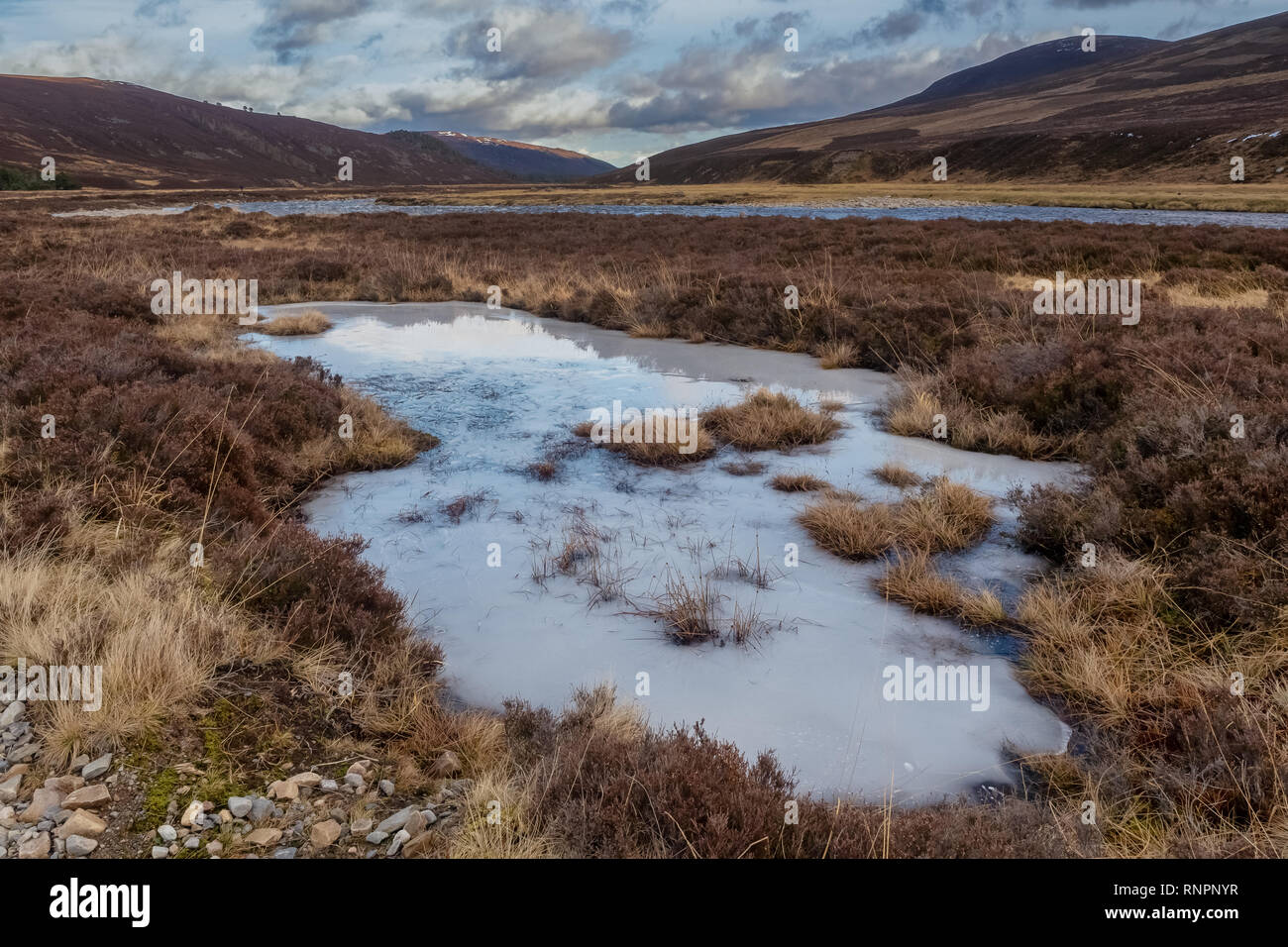 Mar Lodge Estate is a highland estate in western Aberdeenshire ...