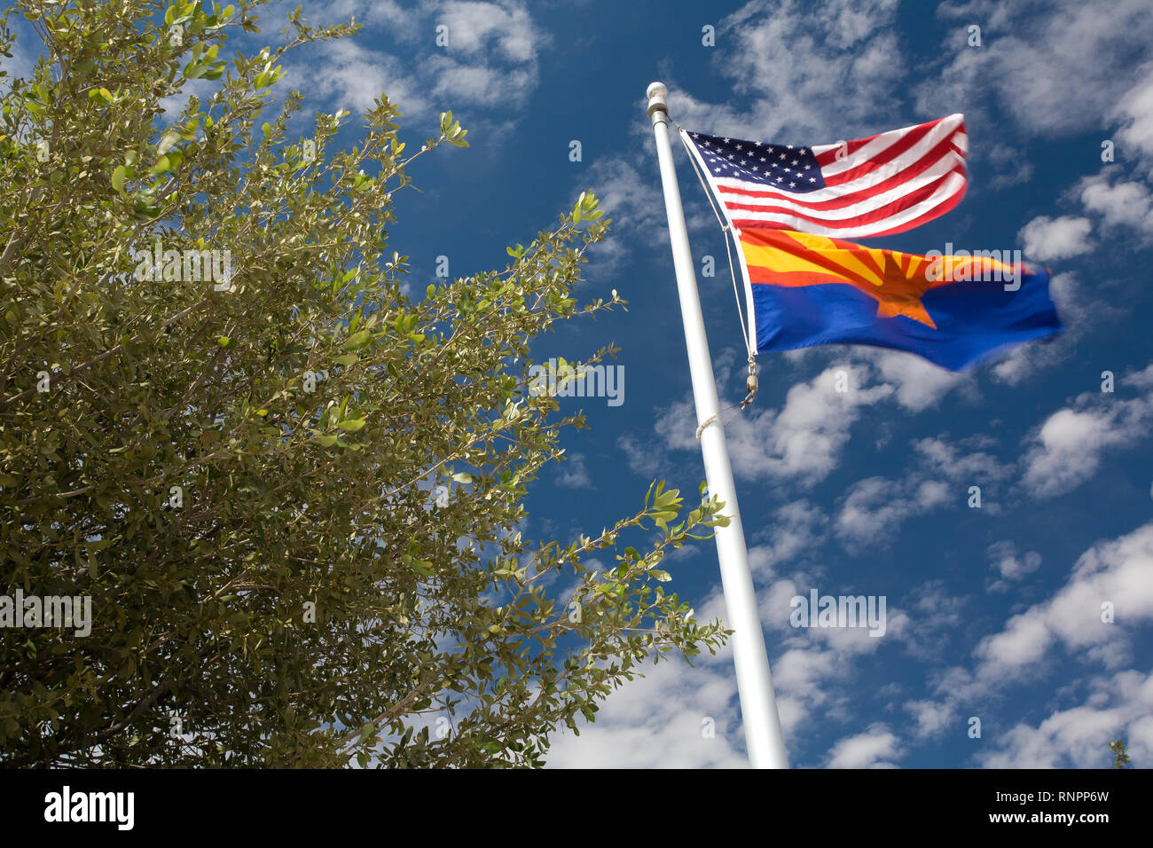 Arizona and USA Flags Stock Photo - Alamy