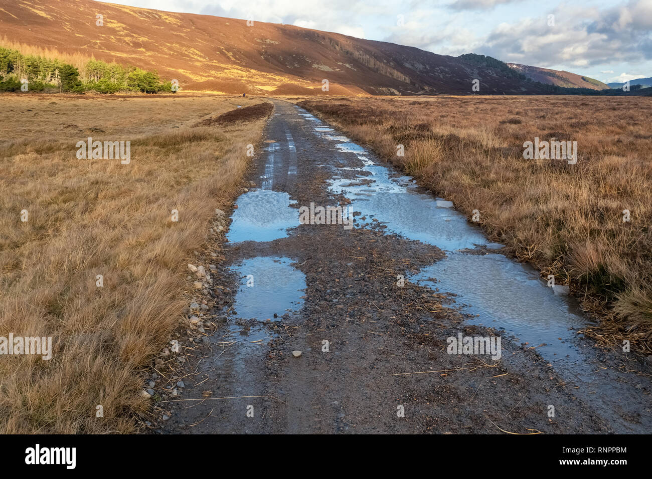 Mar Lodge Estate is a highland estate in western Aberdeenshire ...