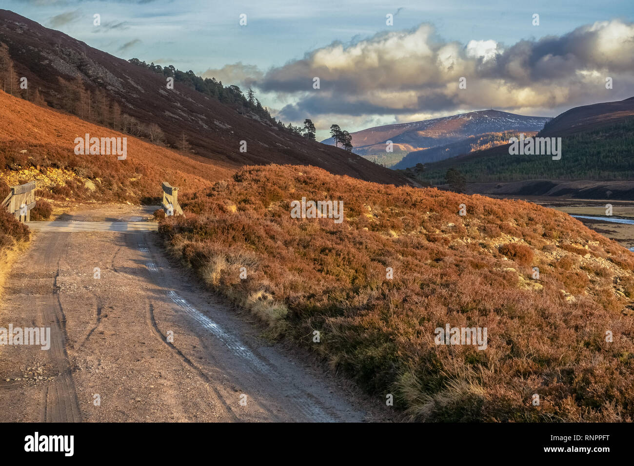Mar Lodge Estate is a highland estate in western Aberdeenshire ...