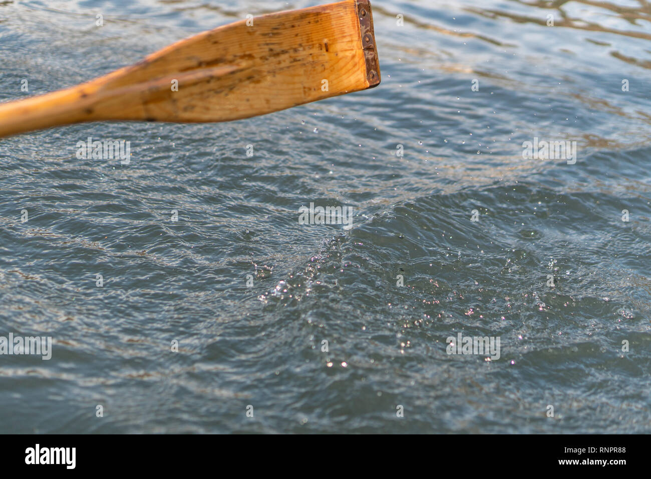 Closeup photo of wooden paddle used for rowing. Paddle rowing in the ...