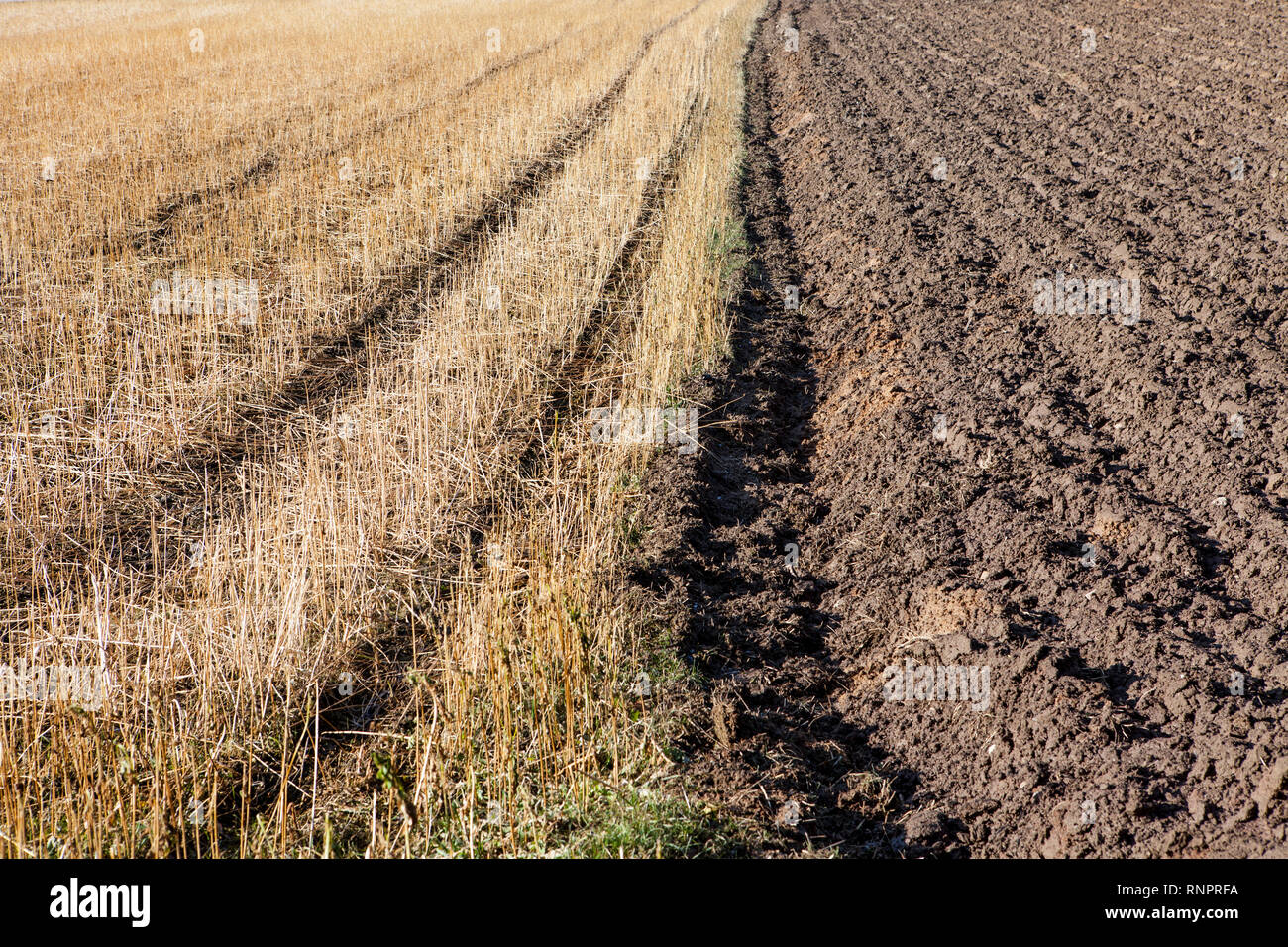 Plowed soil hi-res stock photography and images - Alamy