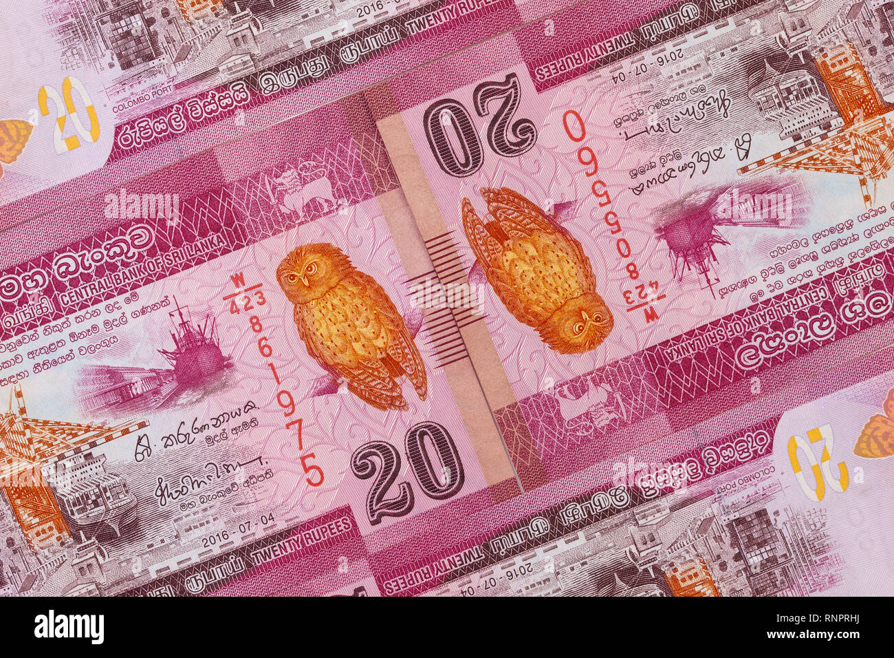 The symmetrical composition of Sri Lankan banknotes. Rupee, the ...