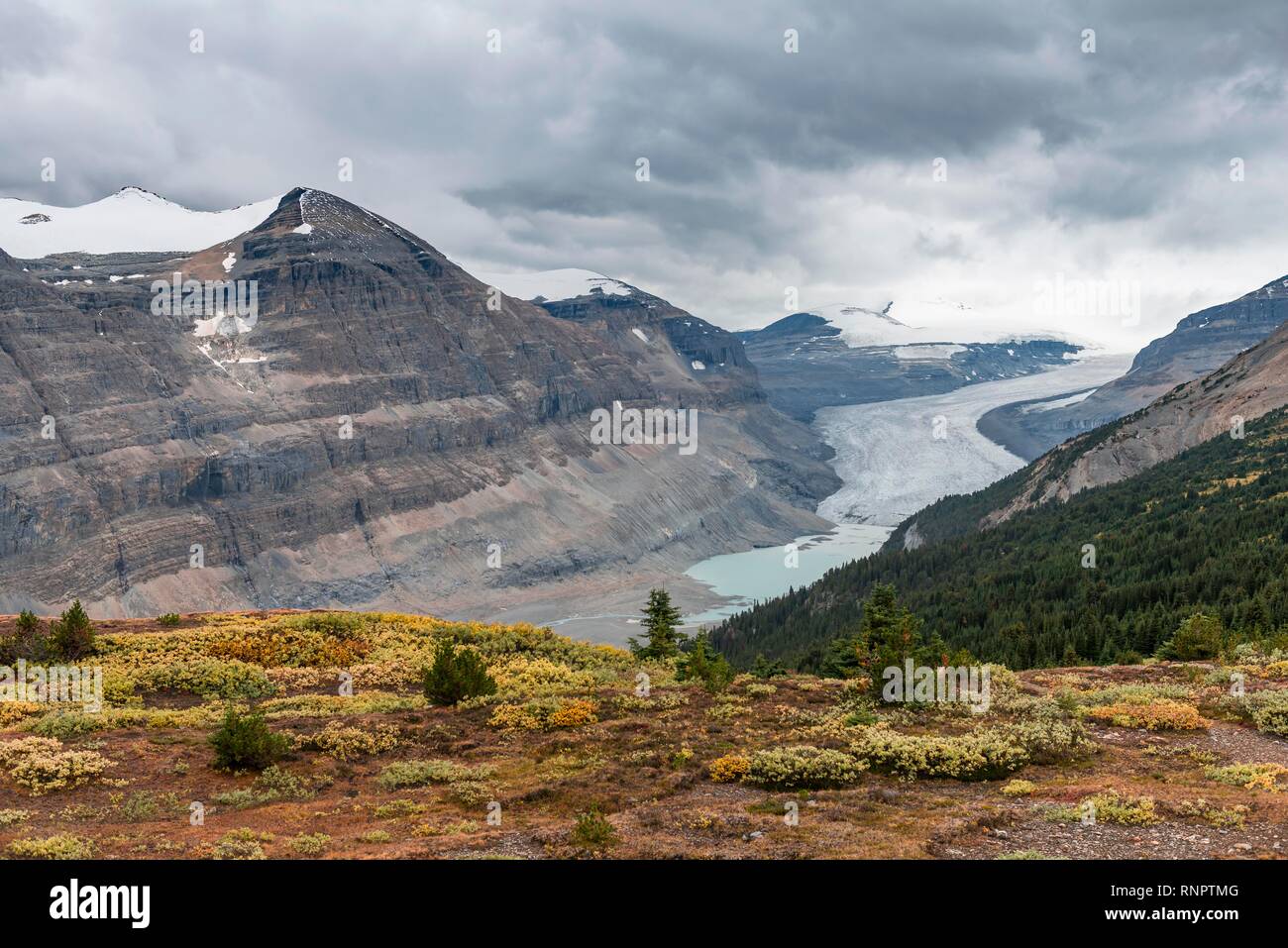 Glacier ridge hi-res stock photography and images - Alamy