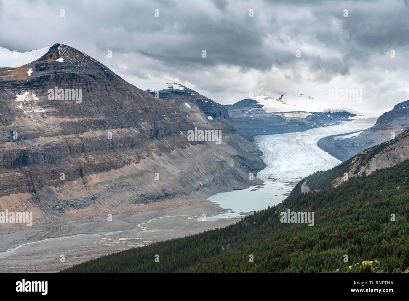 View in valley with glacier tongue, Parker Ridge, Saskatchewan Glacier ...
