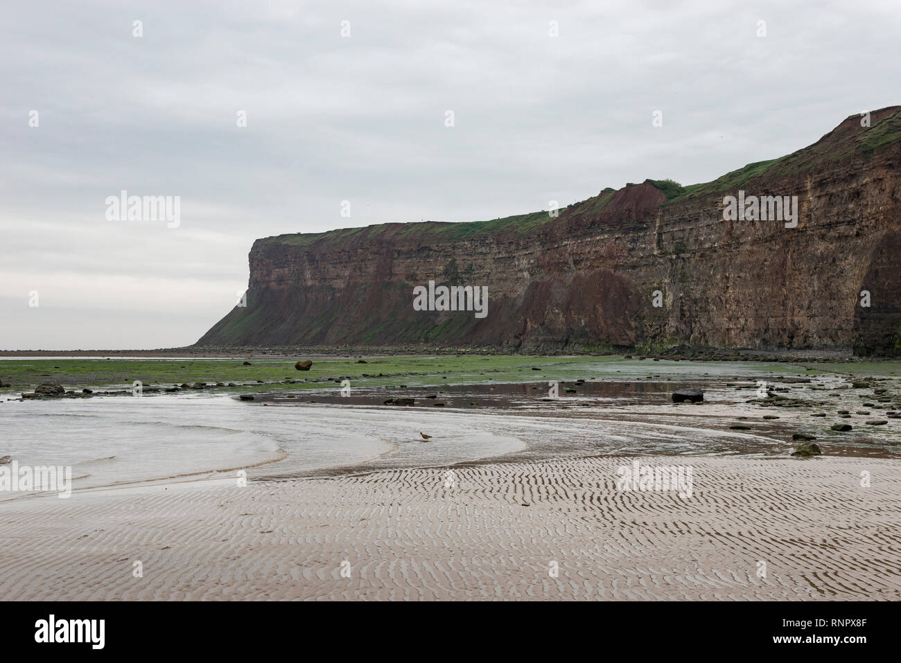 Sheer cliffs at Huntcliff, Saltburn-by-the-sea, North Yorkshire ...
