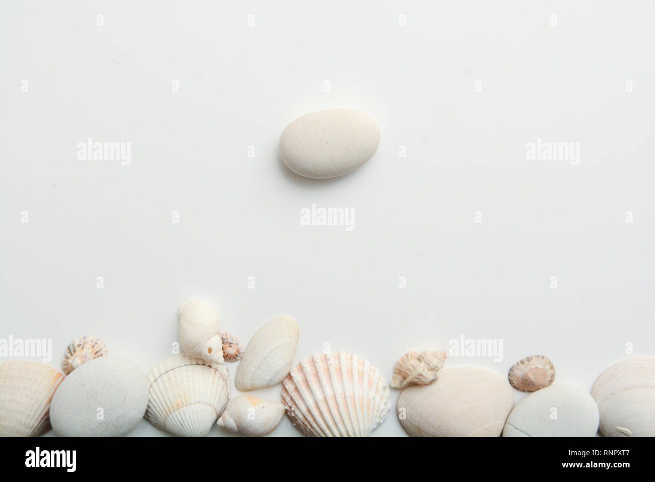 Sea shell objects for seaside and beach themed design Stock Photo - Alamy