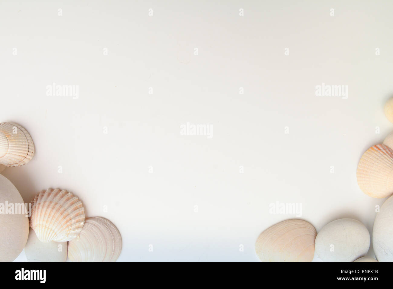 Sea shell objects for seaside and beach themed design Stock Photo - Alamy