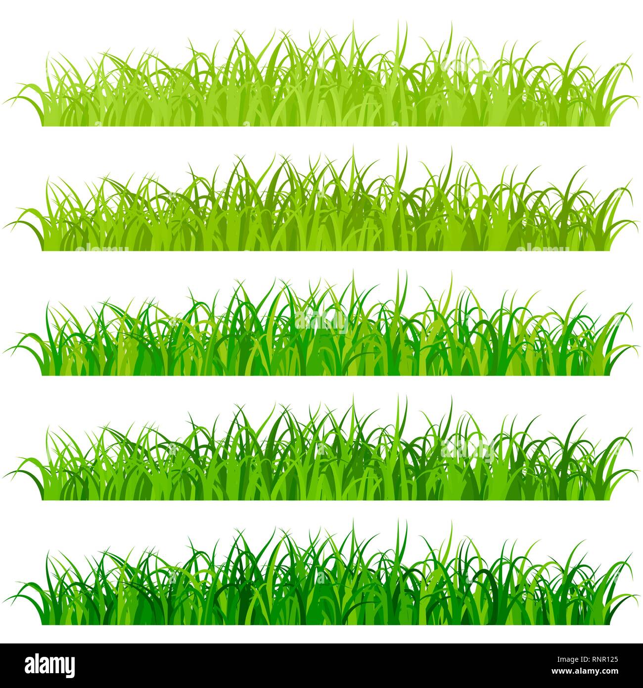 Vector fresh green background Stock Vector Images - Alamy