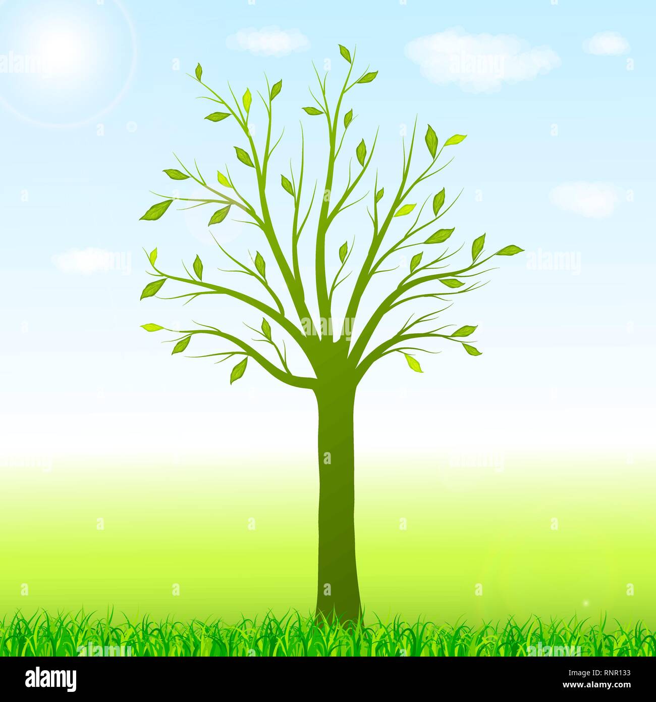 Green spring background with tree and grass vector Stock Vector Image ...