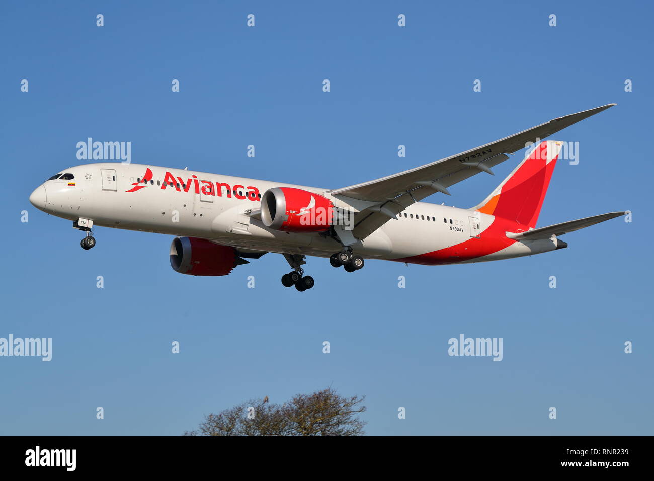 Avianca Boeing 787-8 Dreamliner N792AV landing at London Heathrow ...