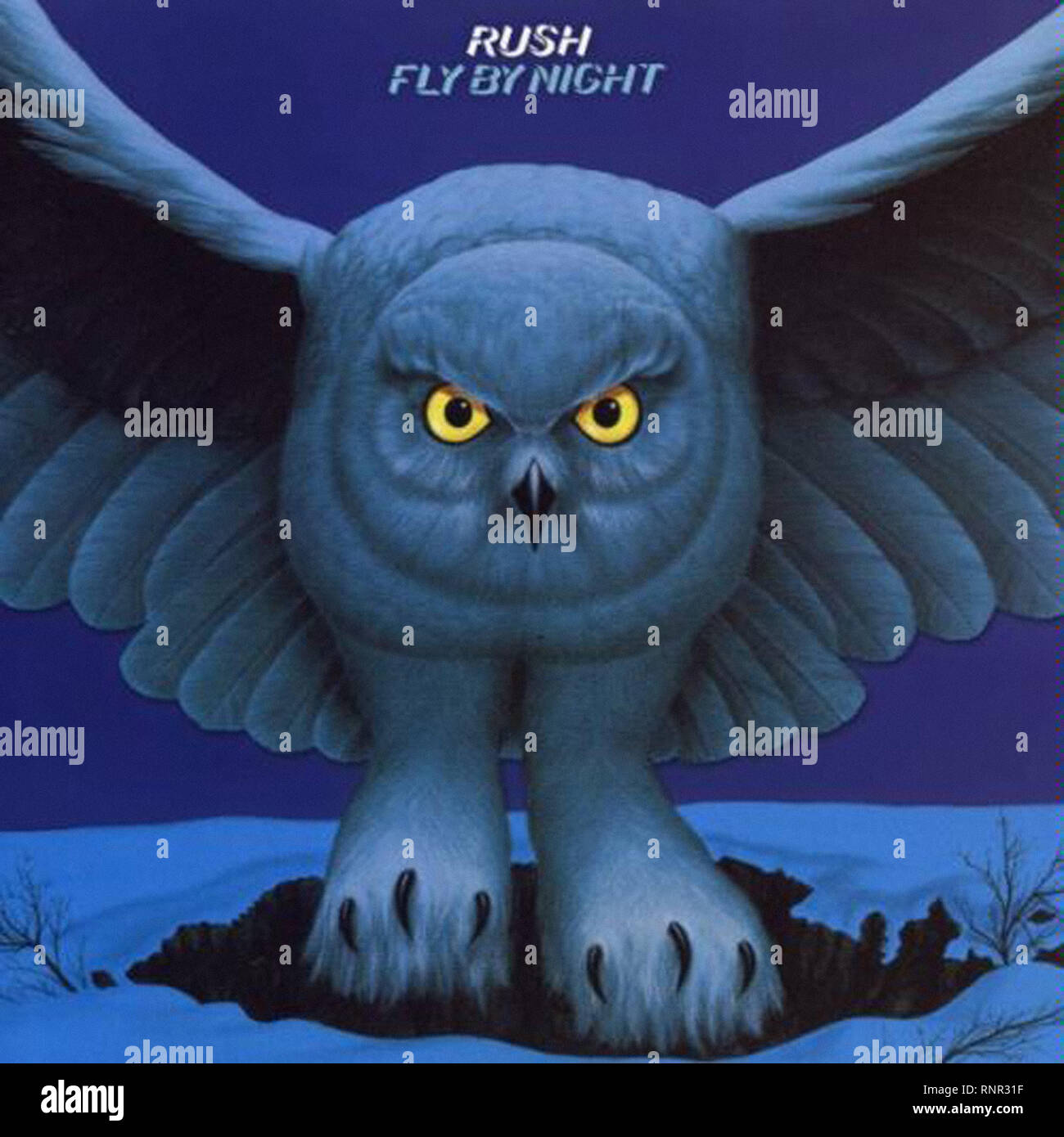 Fly By Night Logo Fly By Night Cattle Company Steakhouse Fort Worth