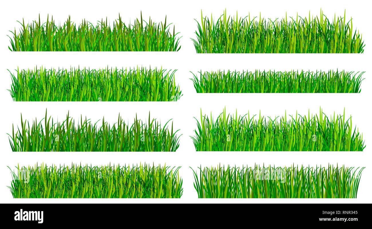 Fresh green grass borders set vector Stock Vector Image & Art - Alamy