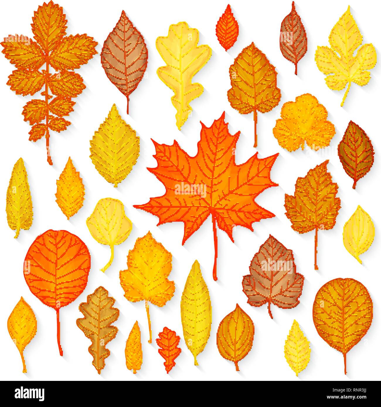 Autumn leaves set vector Stock Vector Image & Art - Alamy