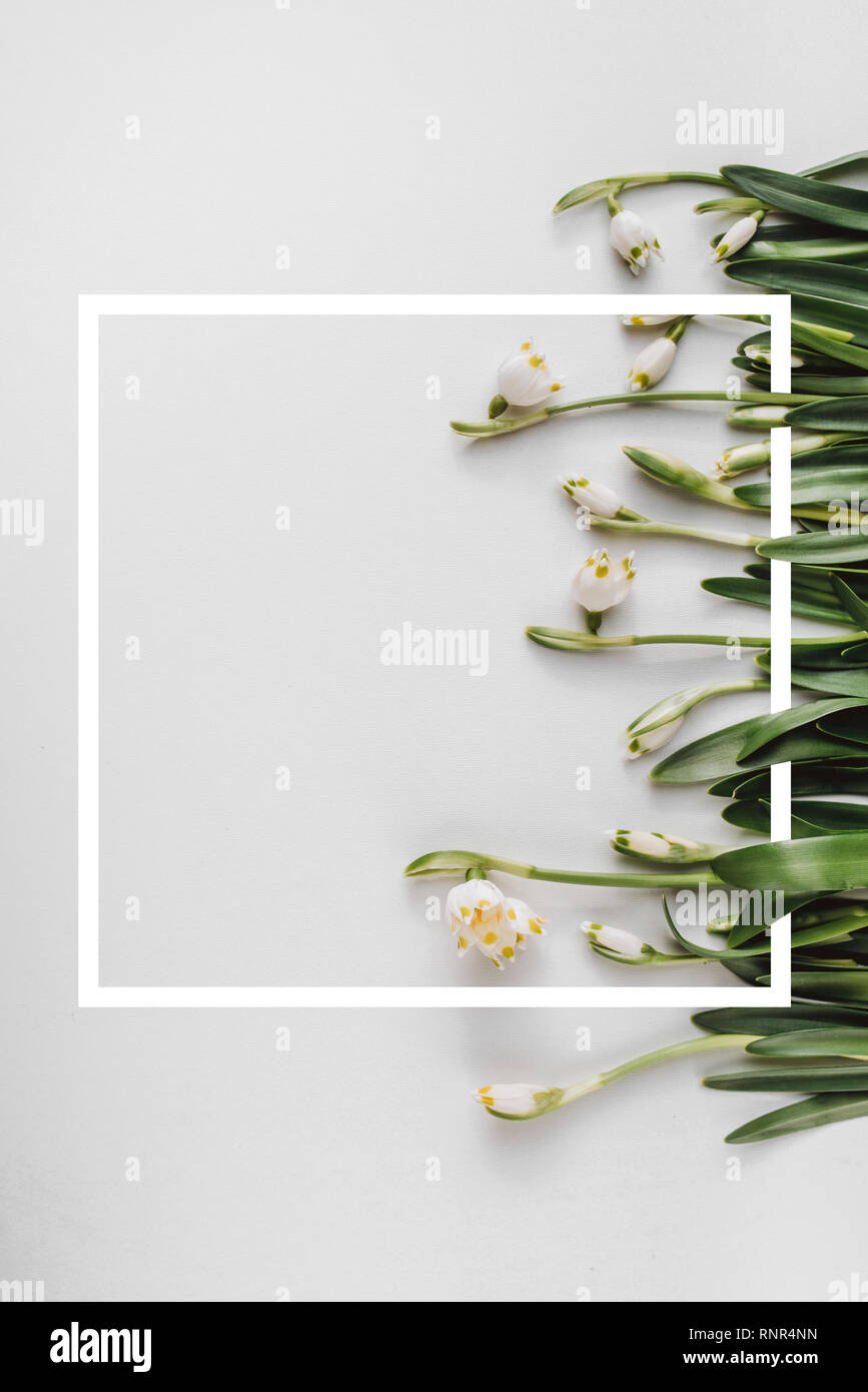 Creative layout made with snowdrop flowers on a bright background with ...