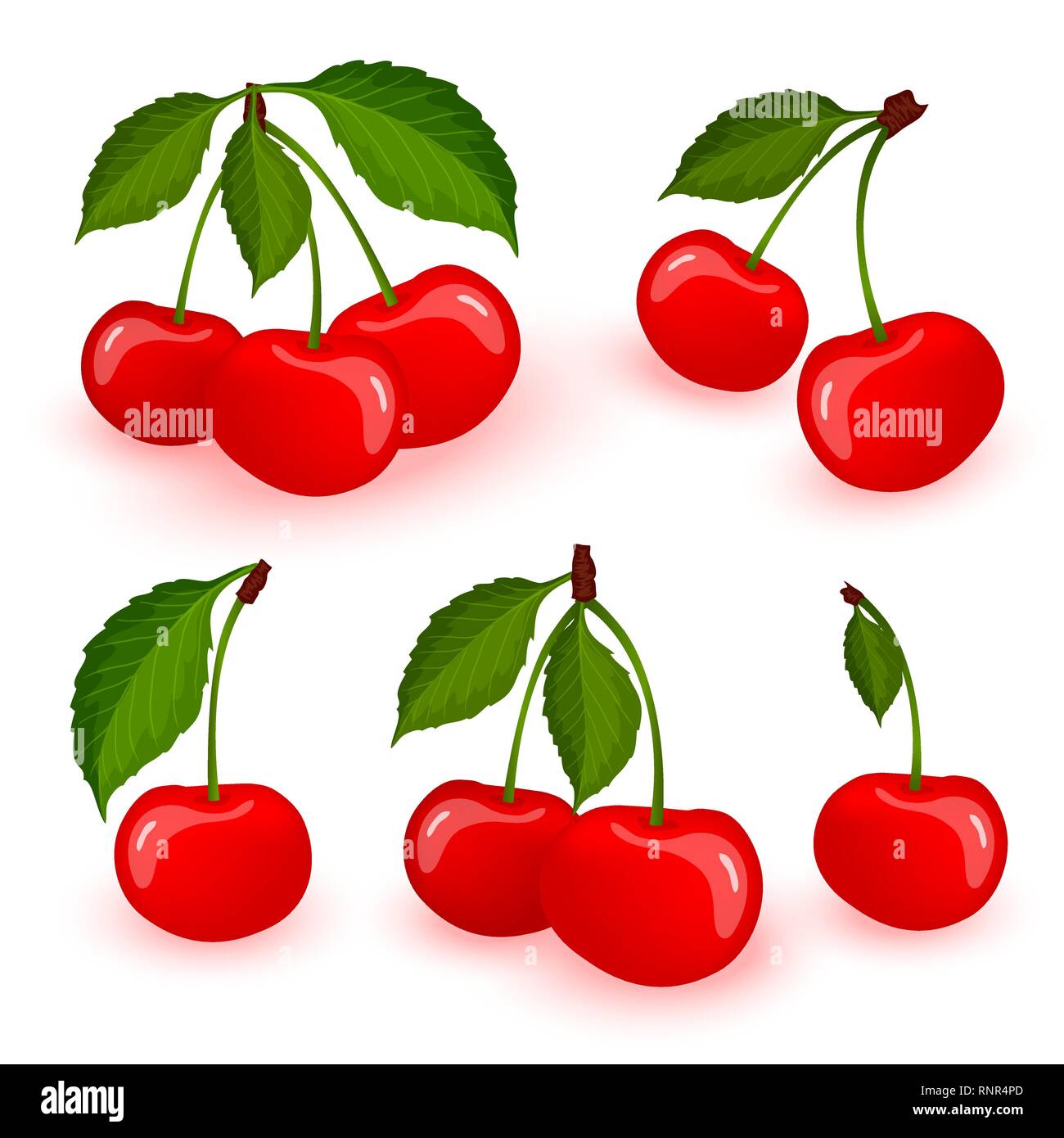 Cherries isolated white background Stock Vector Images - Alamy