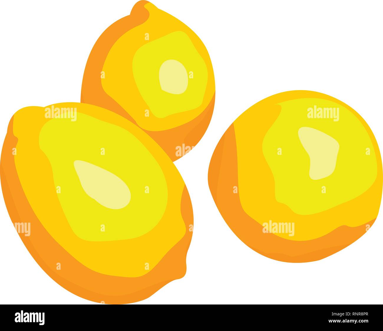 three Lemons citrus vector illustration isolated on a white background ...