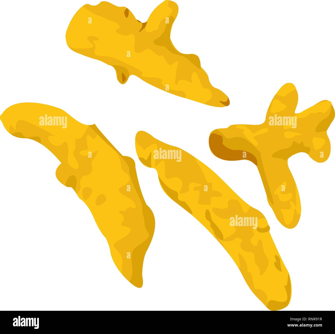 Turmeric roots vegan natural antibiotic food remedy vector illustration ...