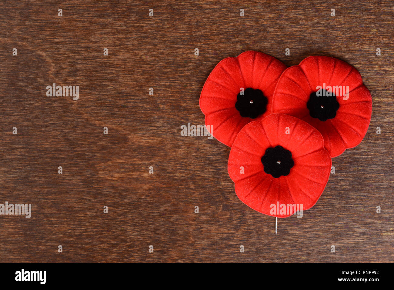 Closeup of three remembrance day poppies Stock Photo - Alamy