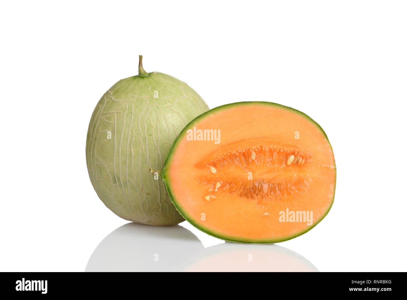 Honeydew Melon Size