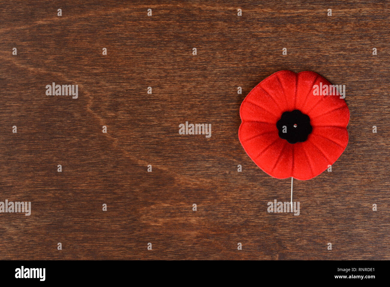 top view remembrance day poppy Stock Photo - Alamy