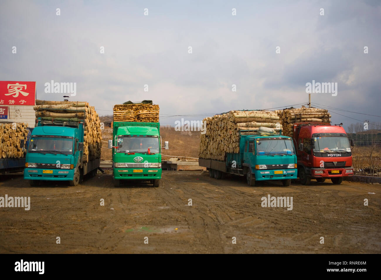 Logging trucks piled high Stock Photo - Alamy