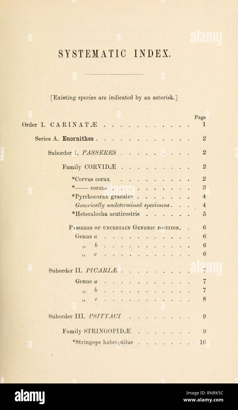 Fossil catalogue hi-res stock photography and images - Alamy