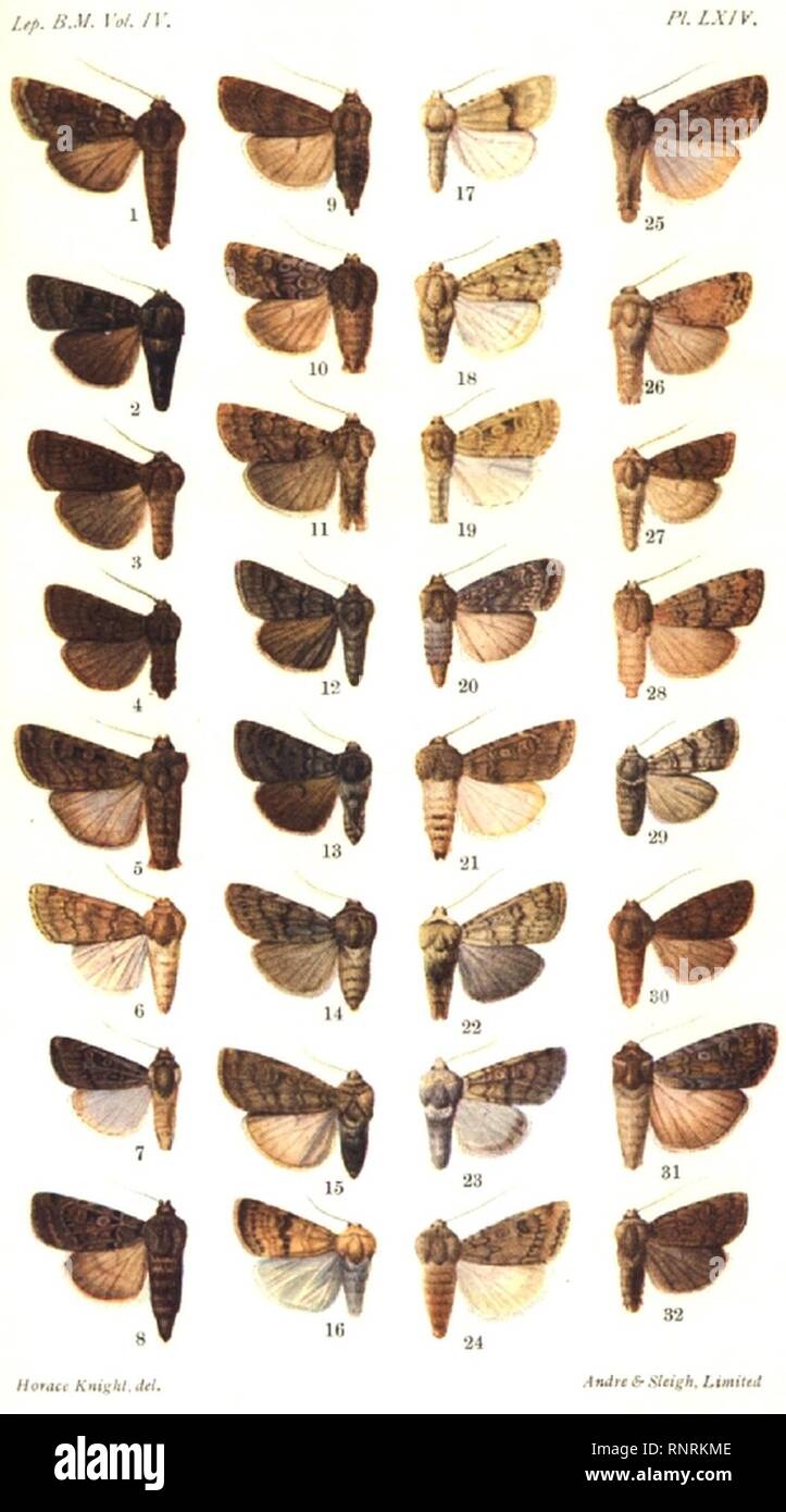 Lxiv hi-res stock photography and images - Alamy