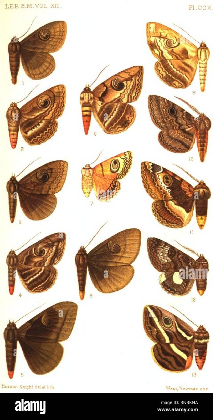 Plate ccx hi-res stock photography and images - Alamy