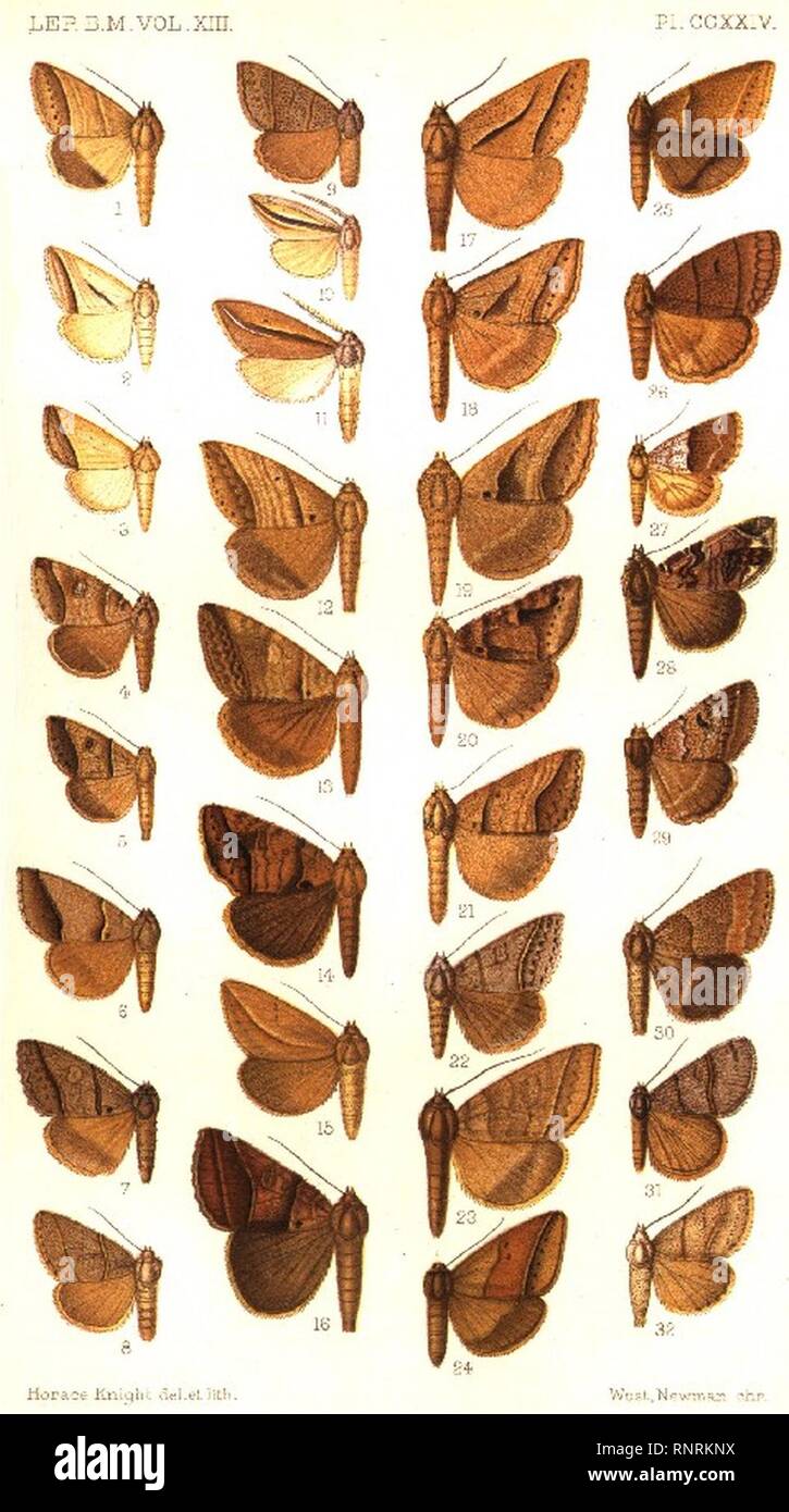 Catalogue bm plate hi-res stock photography and images - Alamy