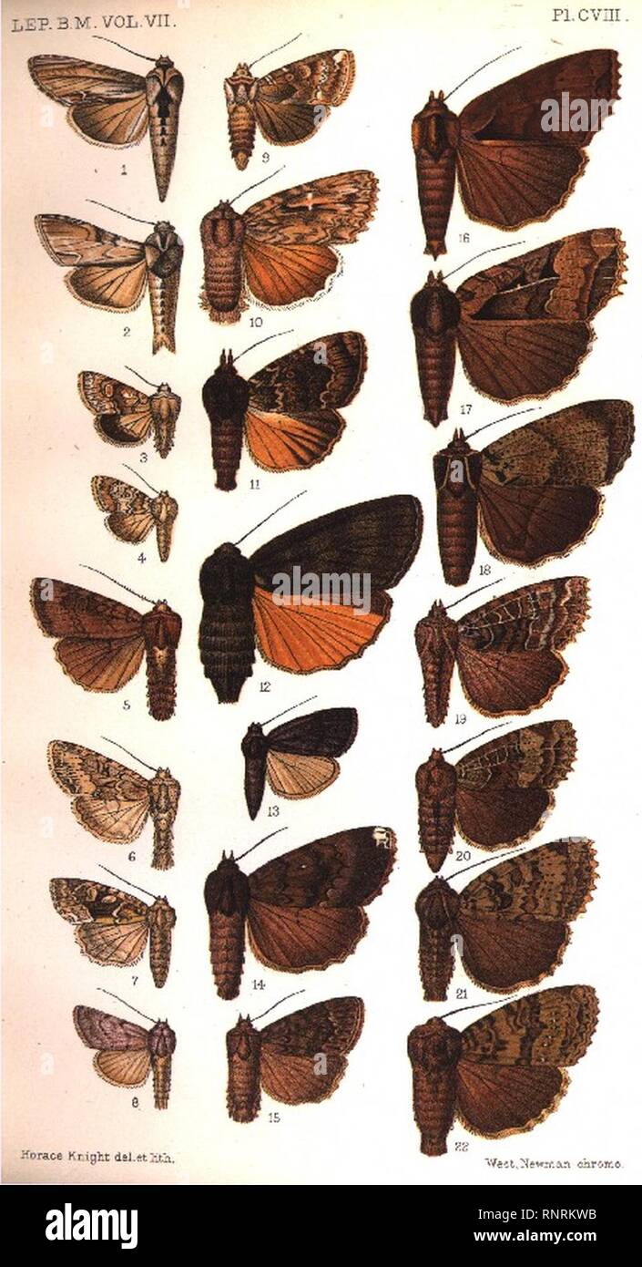 Catalogue bm plate hi-res stock photography and images - Alamy