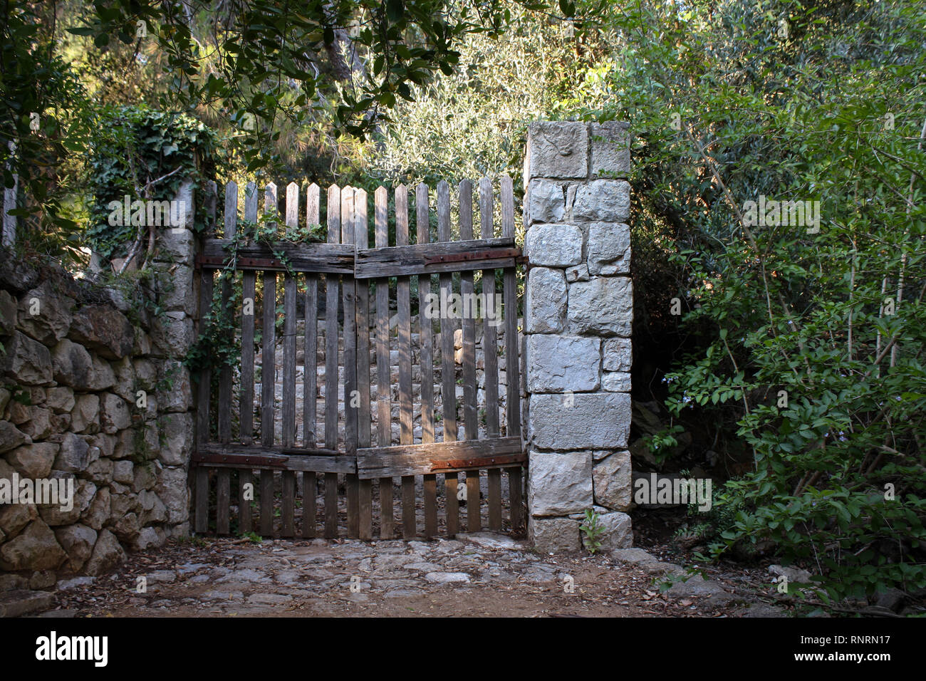 Gate in forest hi-res stock photography and images - Alamy