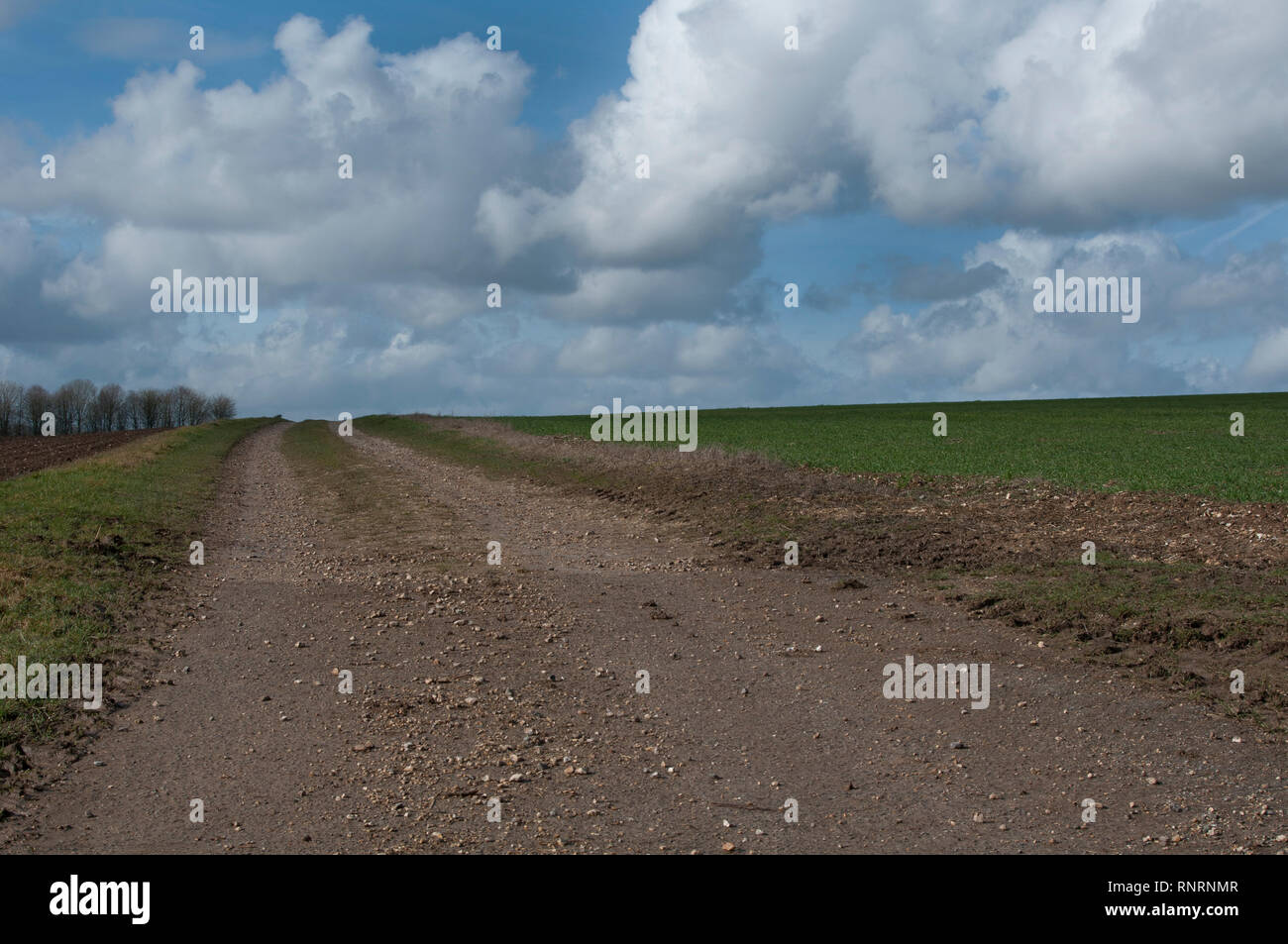 A pleasant farm track leading away across green fields to the horizon ...