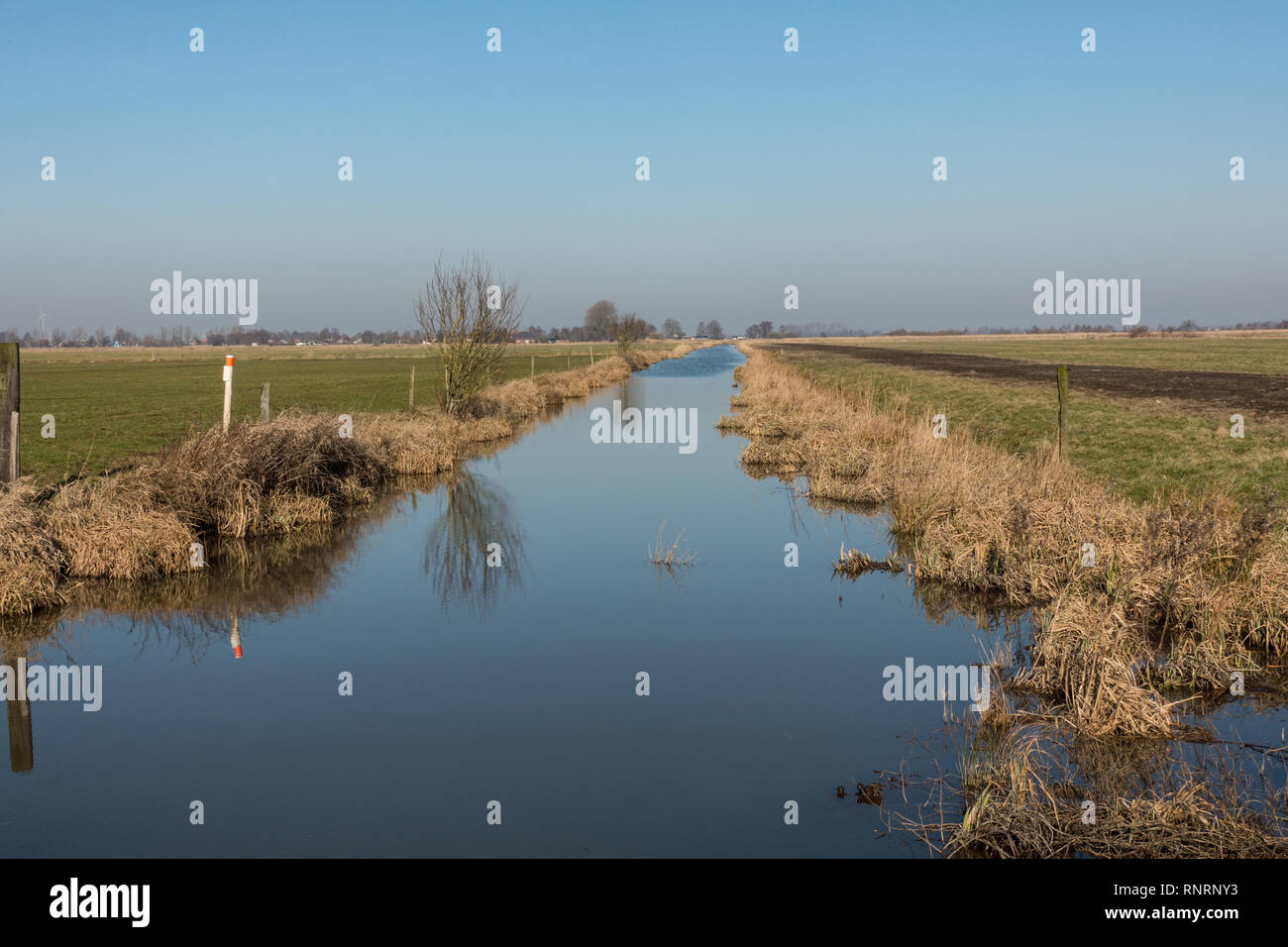 Wetlands waterway hi-res stock photography and images - Alamy