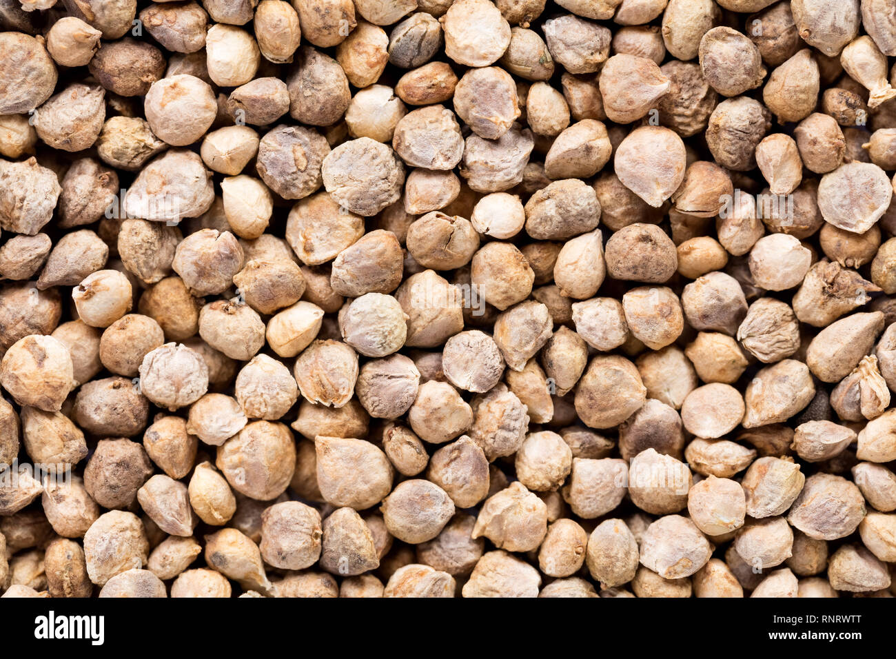 Spinach seeds in plant hi-res stock photography and images - Alamy