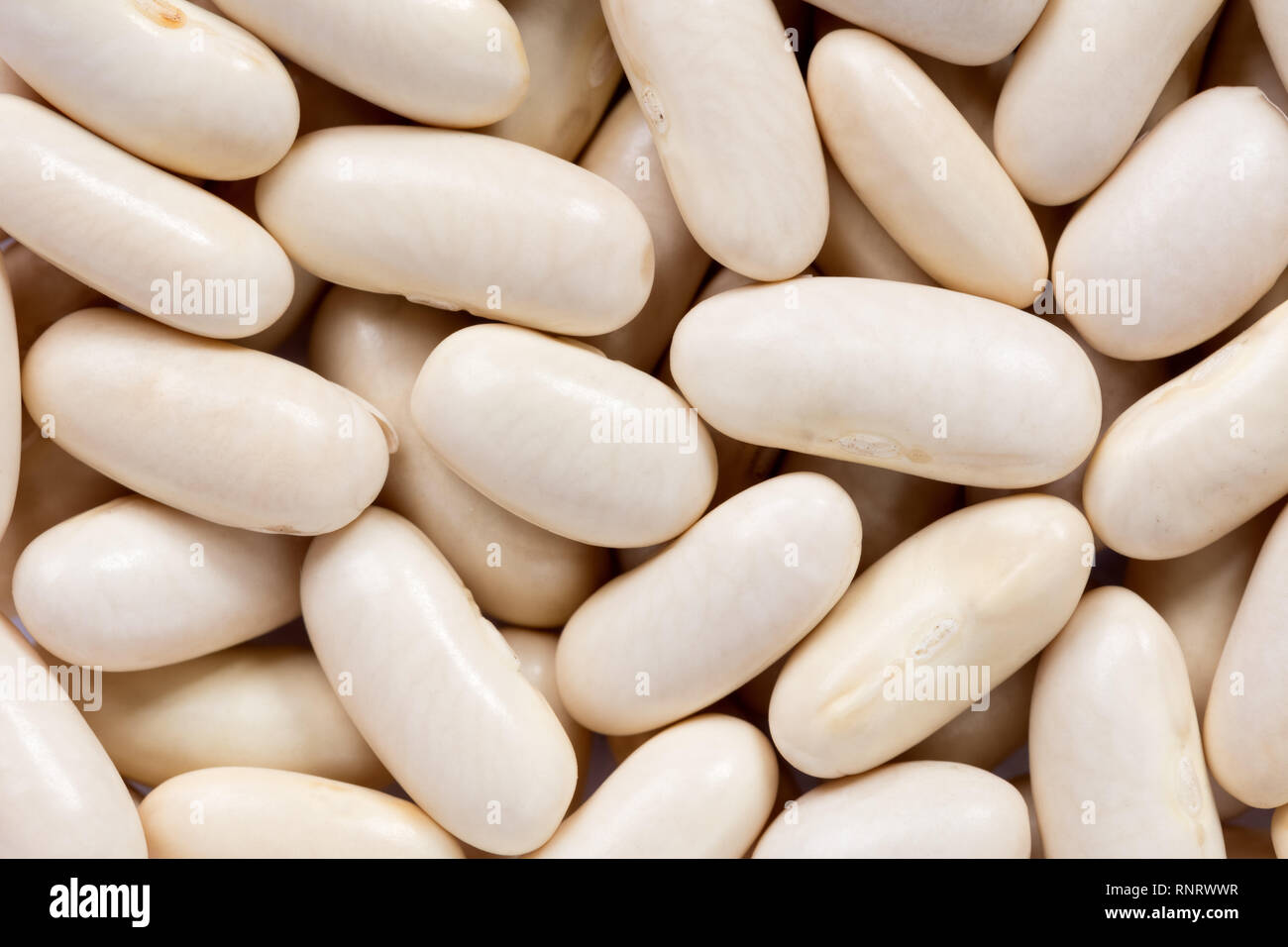 High quality seeds of beans, in a texture form for your unique garden ...