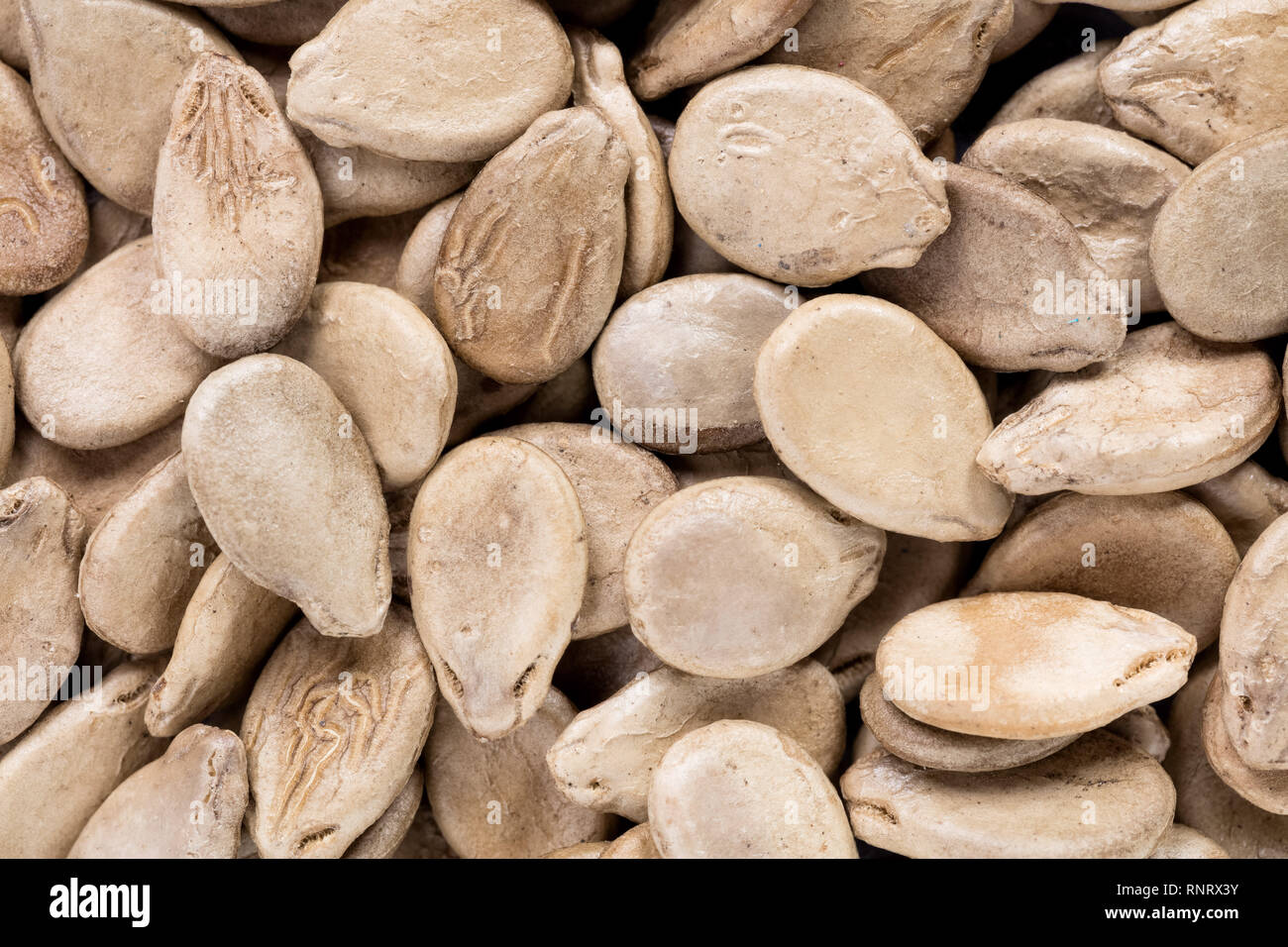 High quality seeds of watermelon, in a texture form for your perfect ...