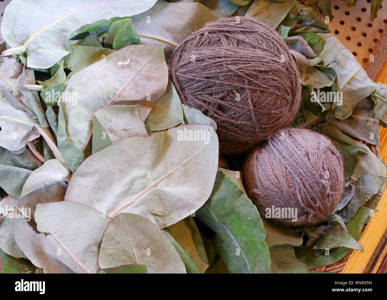 Llama yarn hi-res stock photography and images - Alamy