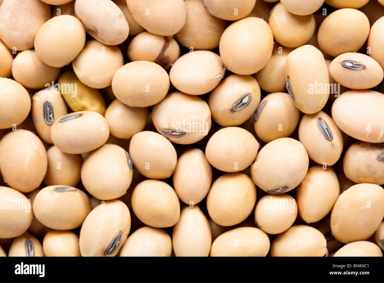 High quality seeds of soy bean, in a texture form for your unique ...