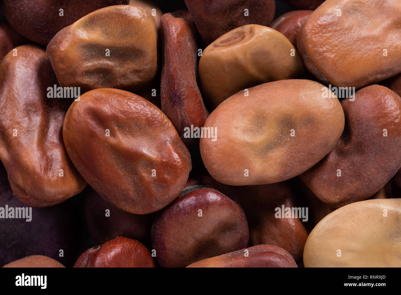 High quality seeds of legumes, in a texture form for your beautiful ...